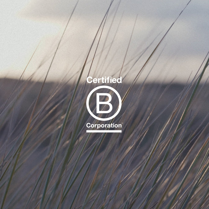 What is a B Corp?